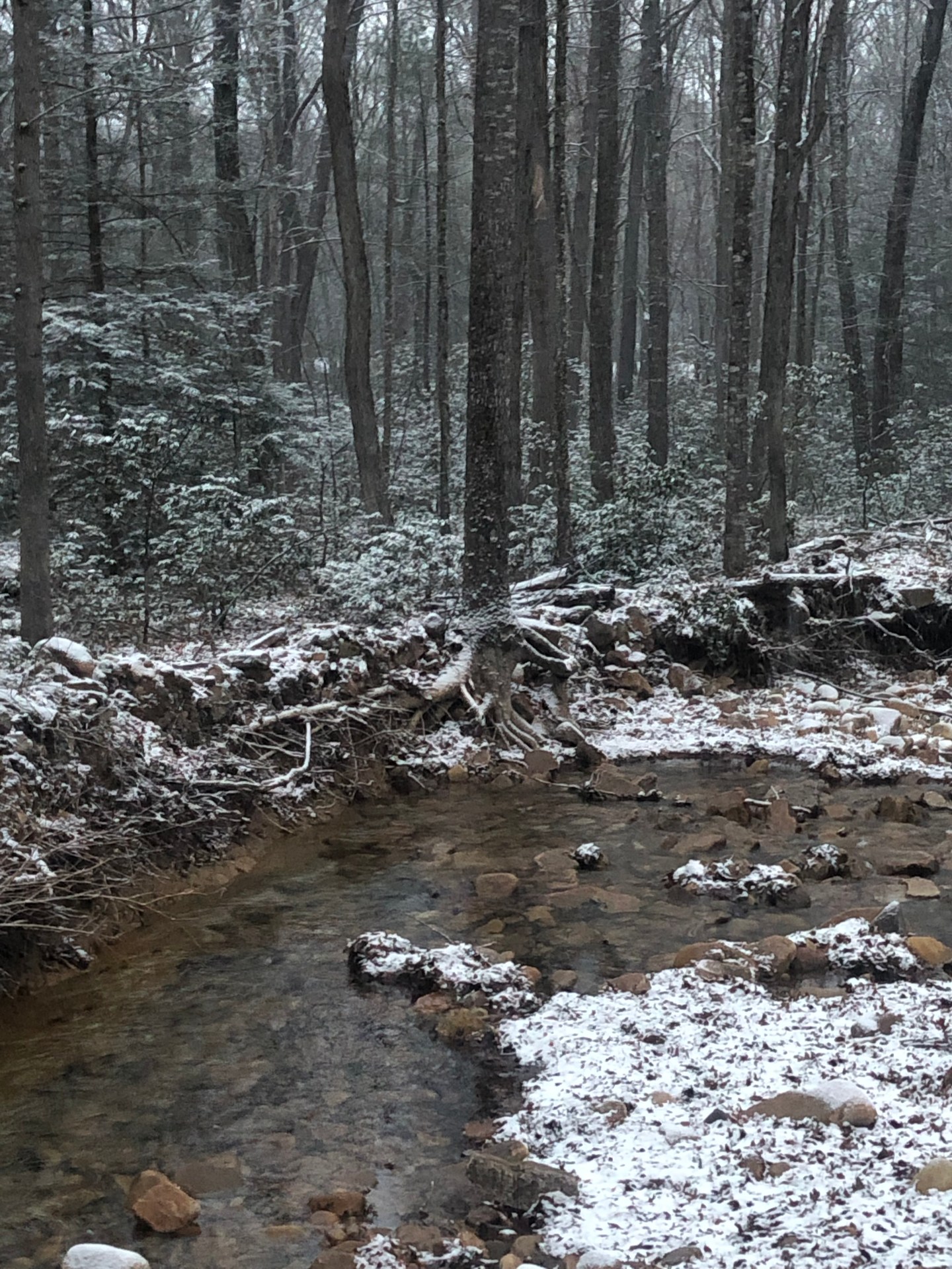 First Snow! – sarah inskeep designs